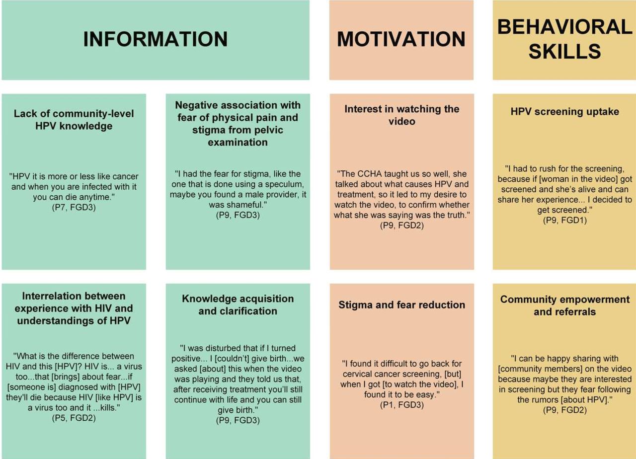 Applying the Information–Motivation–Behavioral Skills model to a video ...