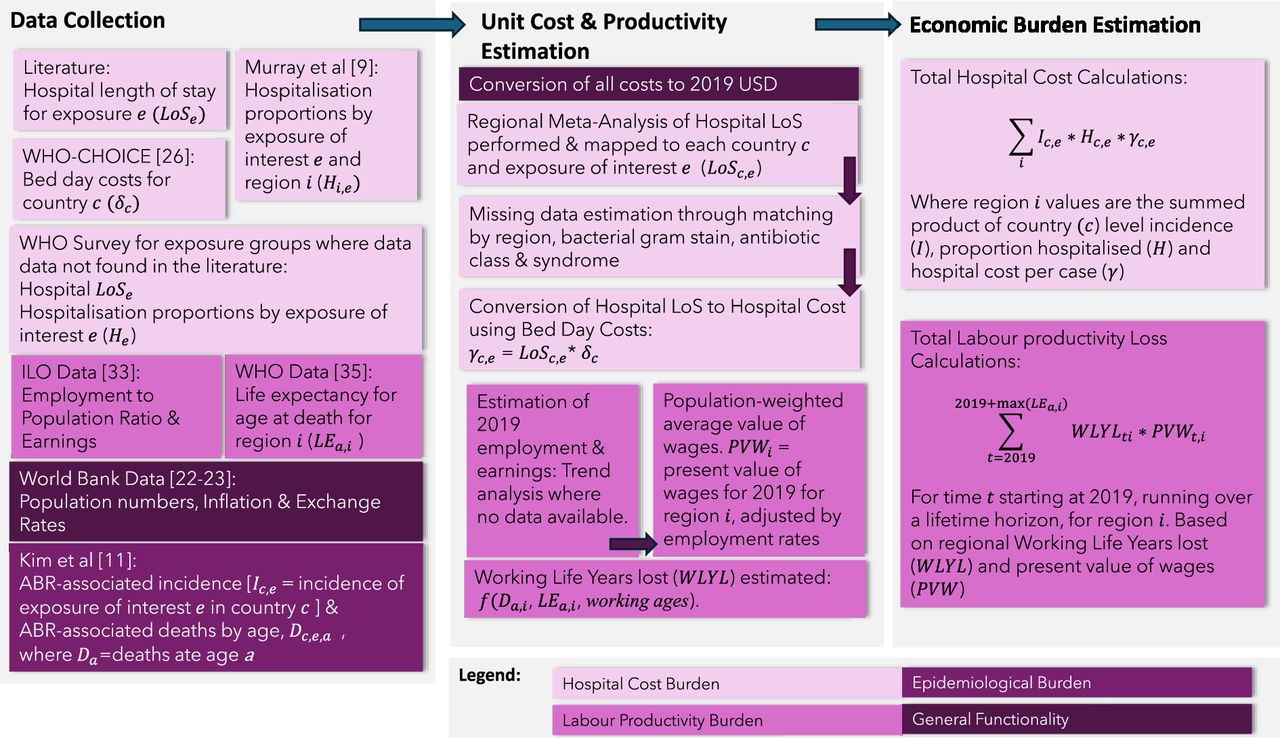 The global economic burden of antibiotic-resistant infections and the ...