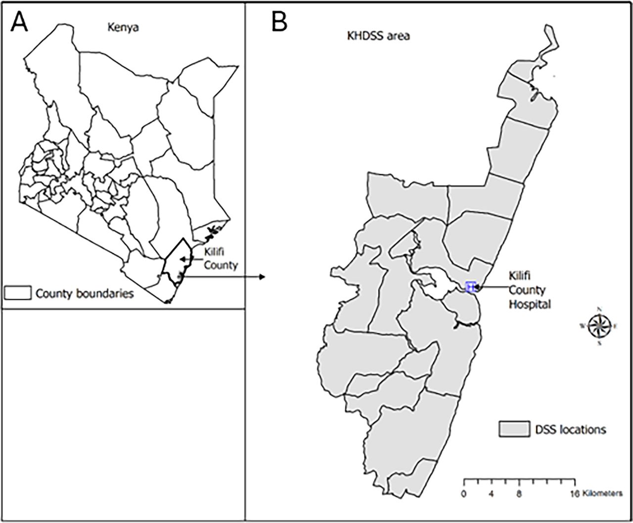 Prevalence, spatial and temporal distribution of tungiasis in the ...