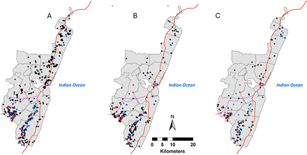 Prevalence, spatial and temporal distribution of tungiasis in the ...