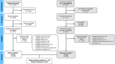The value of adding ‘grey literature’ in evidence synthesis for equity ...