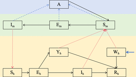 The role of tropical cyclones in accelerating dengue transmission ...