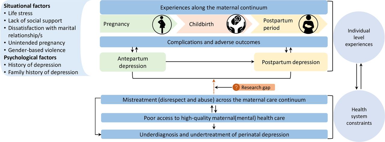 Revisiting health systems to integrate perinatal mental health into ...